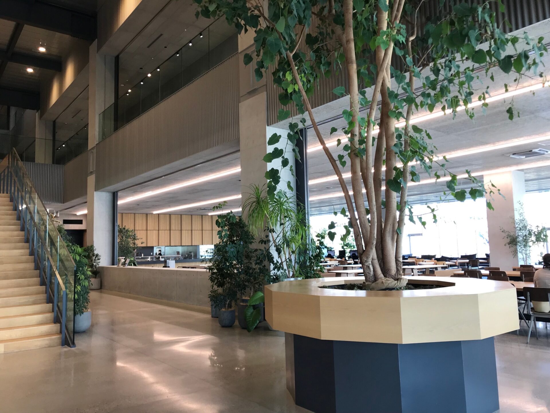 既成概念を超えた先に広がる世界「モルテン」のモノづくり基地[the Box]は熱狂的なコミュニティと独自の文化を育む - スポーツのチカラ